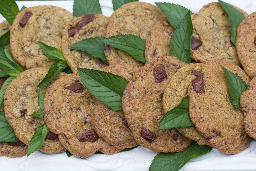 Mint Overrunning Your Garden? 11 Delicious Recipes That Use Fresh Mint ...