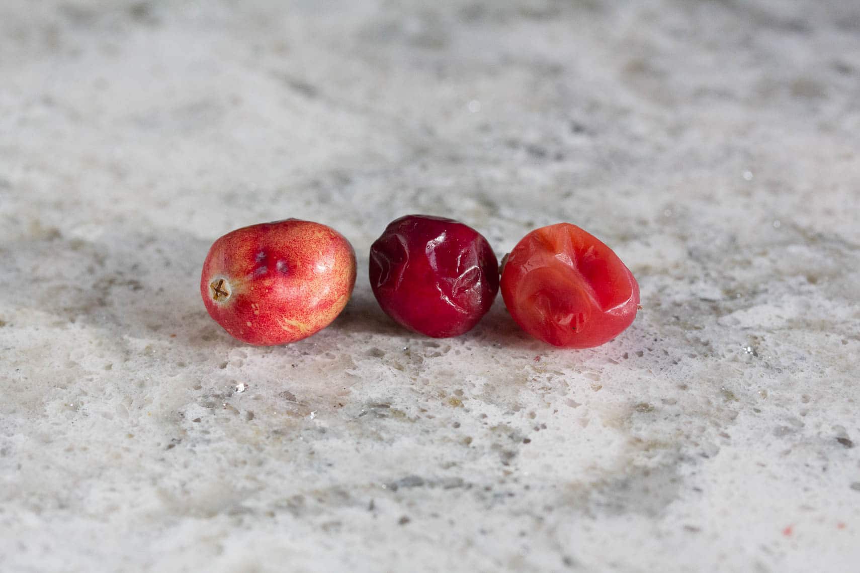 Cranberries - FODMAP Everyday
