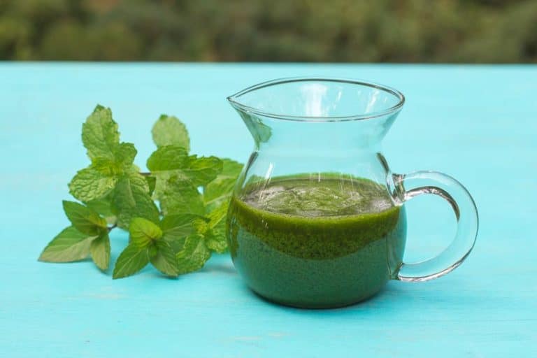 Low FODMAP Mint Salsa Verde - FODMAP Everyday