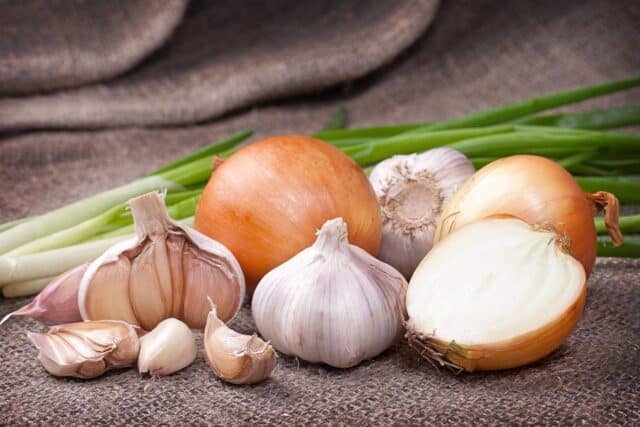 Yes, You Can Eat Garlic and Onion on the Low FODMAP Diet—Here’s How ...