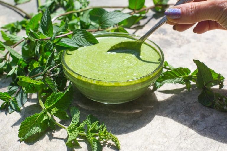 Low FODMAP Mint Chutney - FODMAP Everyday