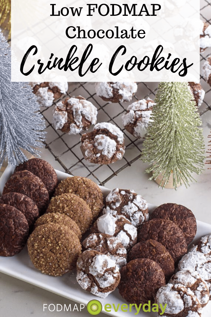 Low FODMAP Chocolate Crinkle Cookies - FODMAP Everyday