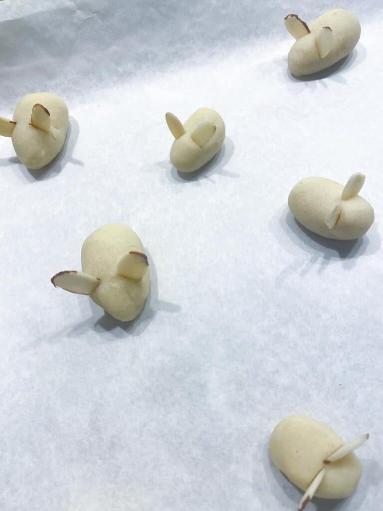 Low FODMAP Night Before Christmas Mice Cookies - FODMAP Everyday