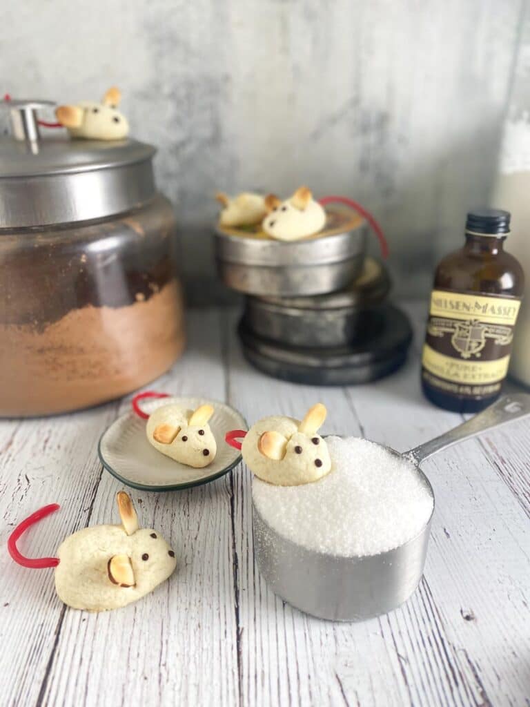 Low FODMAP Night Before Christmas Mice Cookies - FODMAP Everyday
