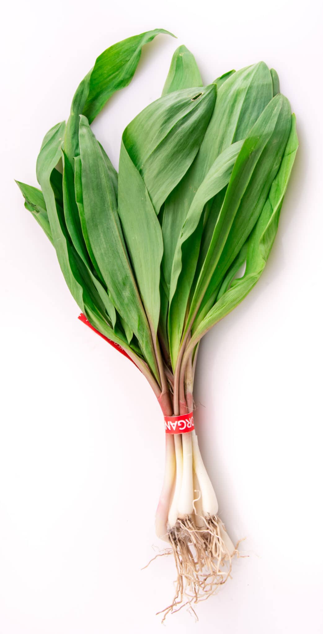 Low FODMAP Garlic & Onion Substitutes - FODMAP Everyday