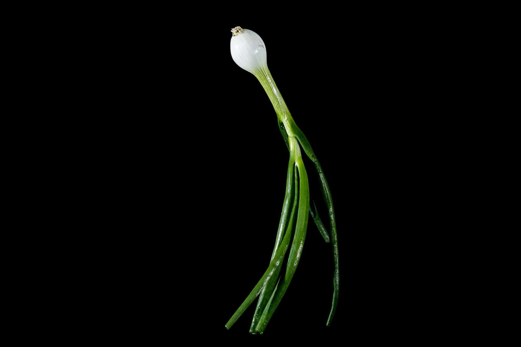 Yes, You Can Eat Garlic and Onion on the Low FODMAP Diet—Here’s How ...