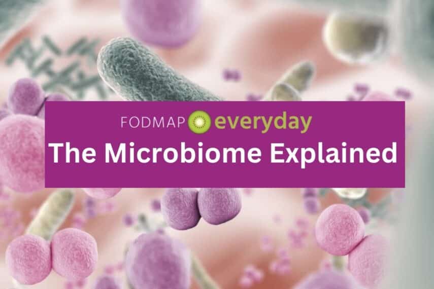 How Does the Low FODMAP Diet Affect the Gut Microbiome? - FODMAP Everyday