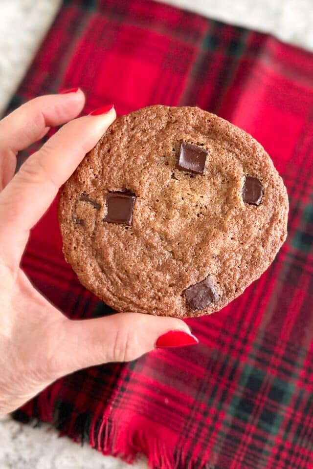 Low FODMAP Gingerbread Chocolate Chunk Cookies - FODMAP Everyday