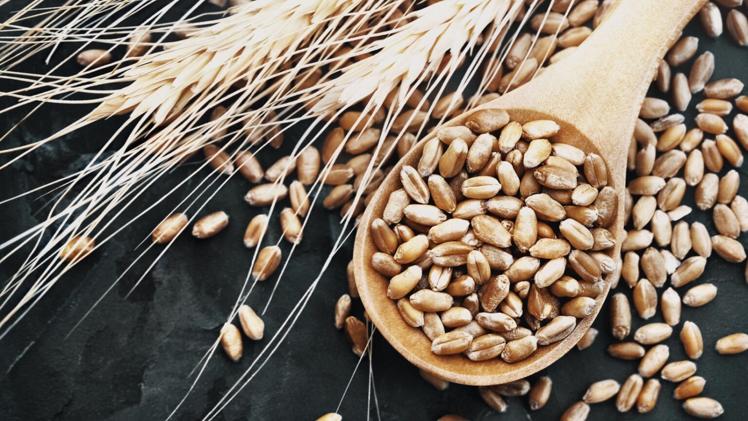 How To Choose Low FODMAP Bread - FODMAP Everyday