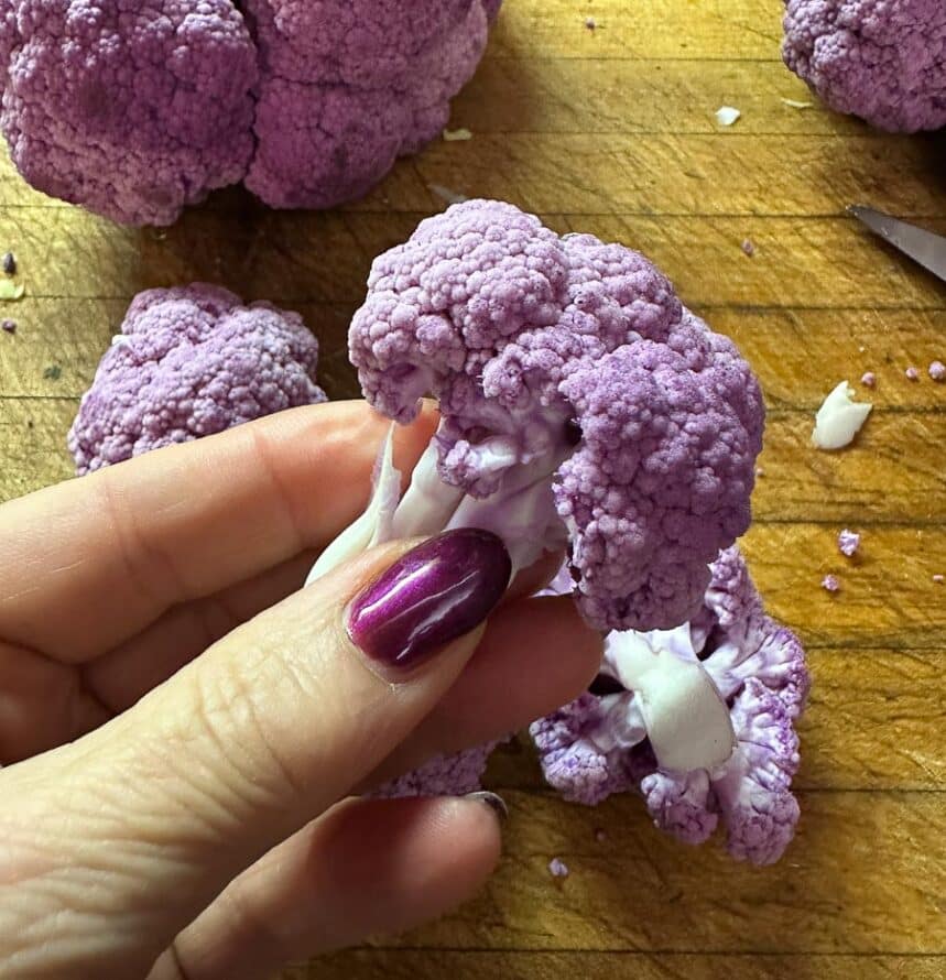 Low FODMAP Purple Cauliflower & Chickpea Curry - FODMAP Everyday