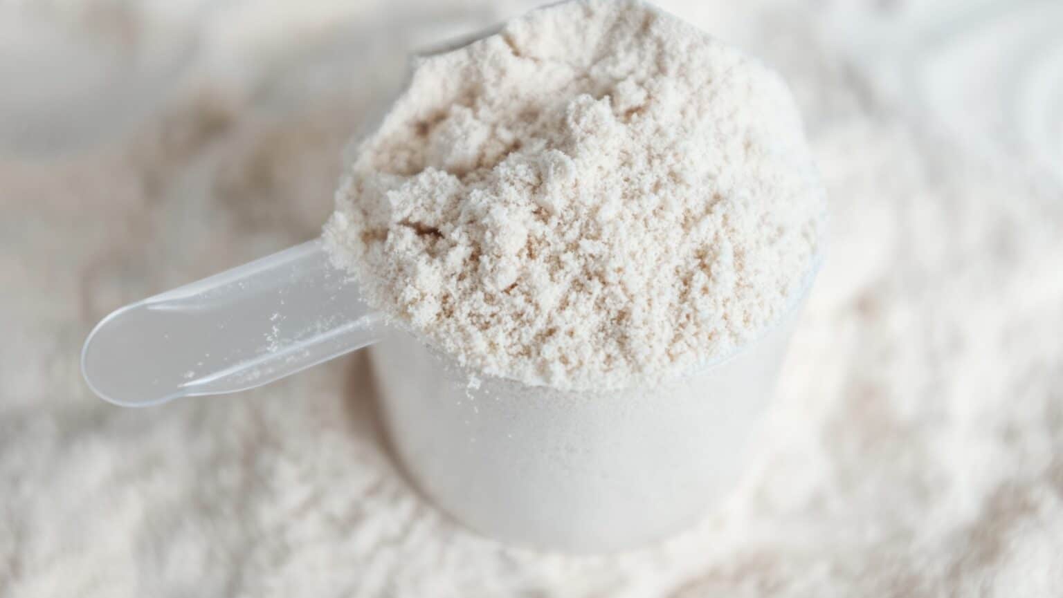 The Guide to Low FODMAP Protein Powders: What to Buy and What to Avoid ...
