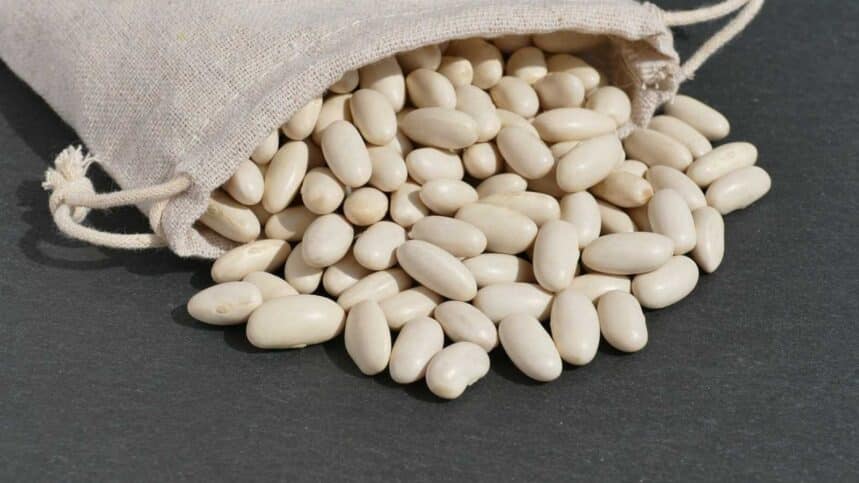 17 high-fiber foods that support fullness and healthy weight management ...