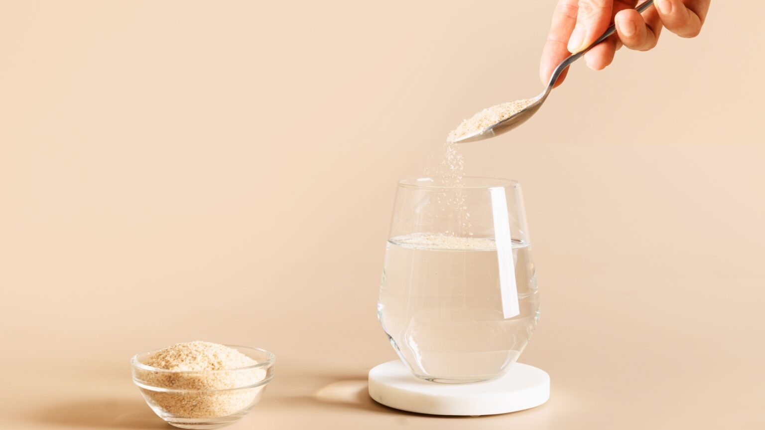 Inulin and Prebiotics in Processed Foods: What the Science Really Says ...