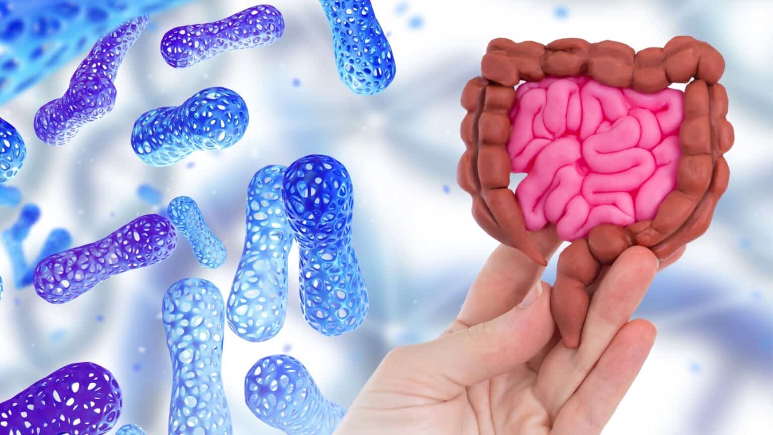 Inulin and Prebiotics in Processed Foods: What the Science Really Says ...