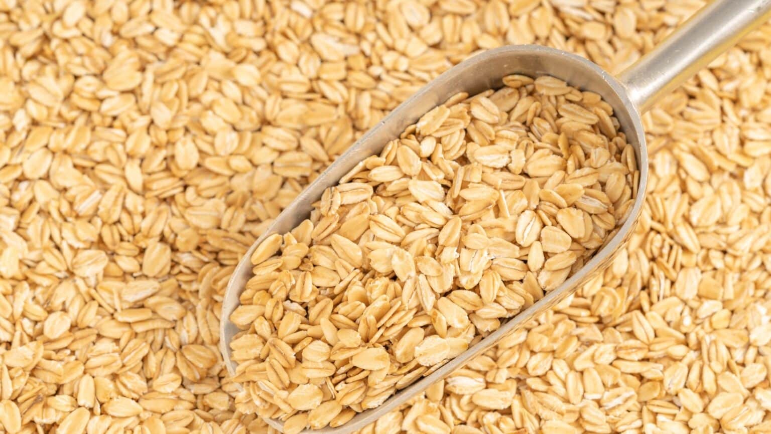 Inulin and Prebiotics in Processed Foods: What the Science Really Says ...