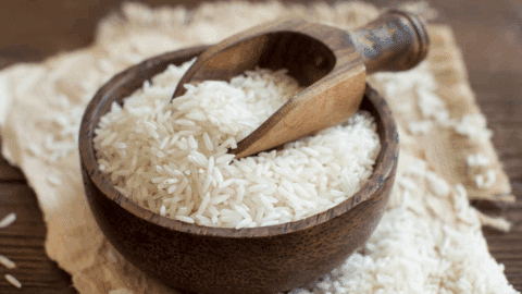 10 most controversial foods on Earth - FODMAP Everyday