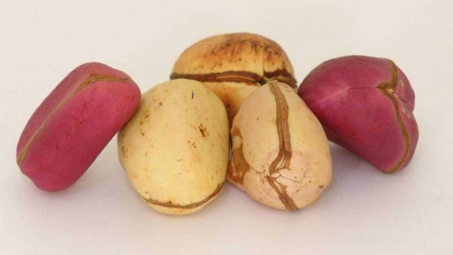 10 Nuts You Might Want to Limit in Your Diet - FODMAP Everyday