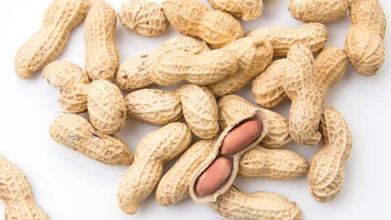 10 Nuts You Might Want to Limit in Your Diet - FODMAP Everyday
