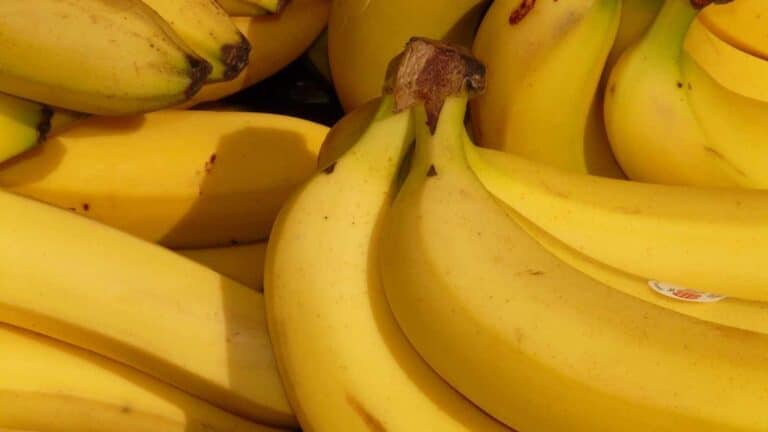 10 fruits that aid digestive system health - FODMAP Everyday