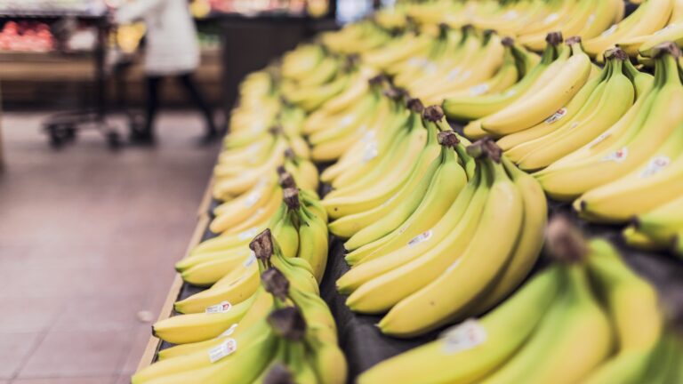 12 fruits that support muscle development - FODMAP Everyday