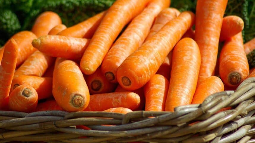 12 popular fruits and vegetables originally looked like this - FODMAP ...
