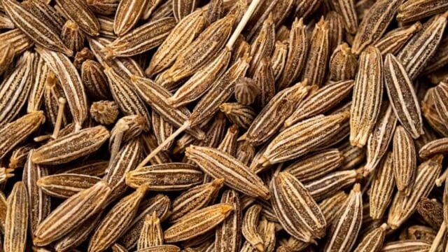 17 Indian Spices That Bring Out the Best Flavors - FODMAP Everyday
