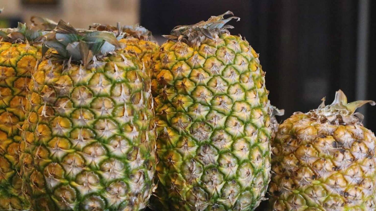 10 fruits that aid digestive system health - FODMAP Everyday