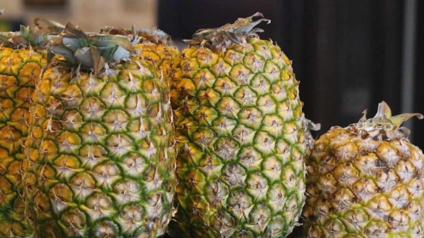 12 fruits that support muscle development - FODMAP Everyday