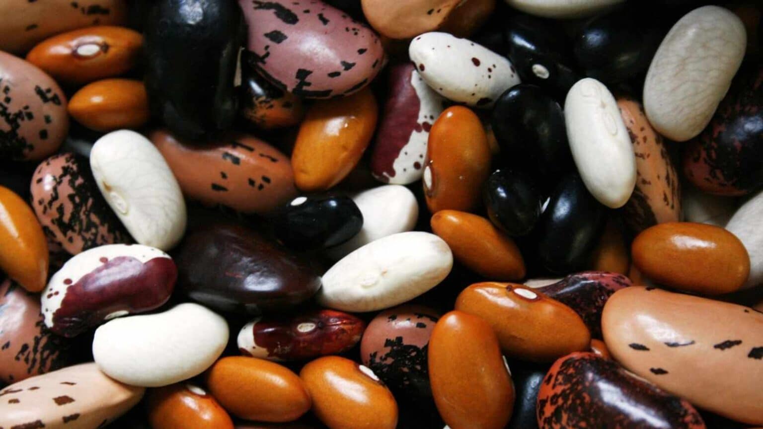 15 foods early pioneers ate to survive the Old West - FODMAP Everyday