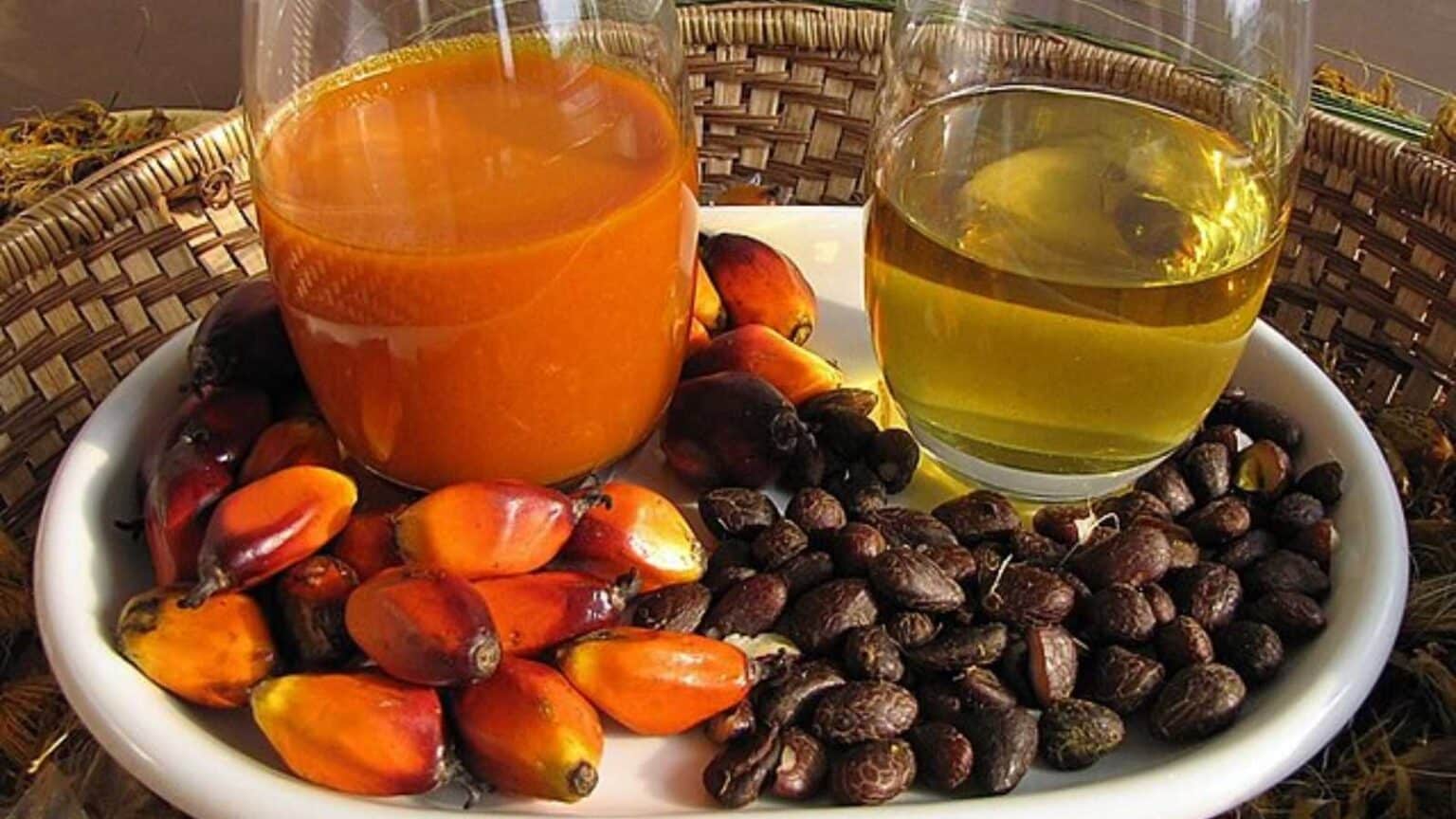 10 most controversial foods on Earth - FODMAP Everyday