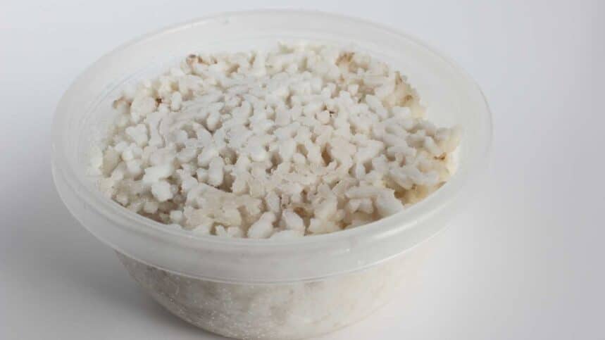 10 ways to store your cooked rice safely - FODMAP Everyday