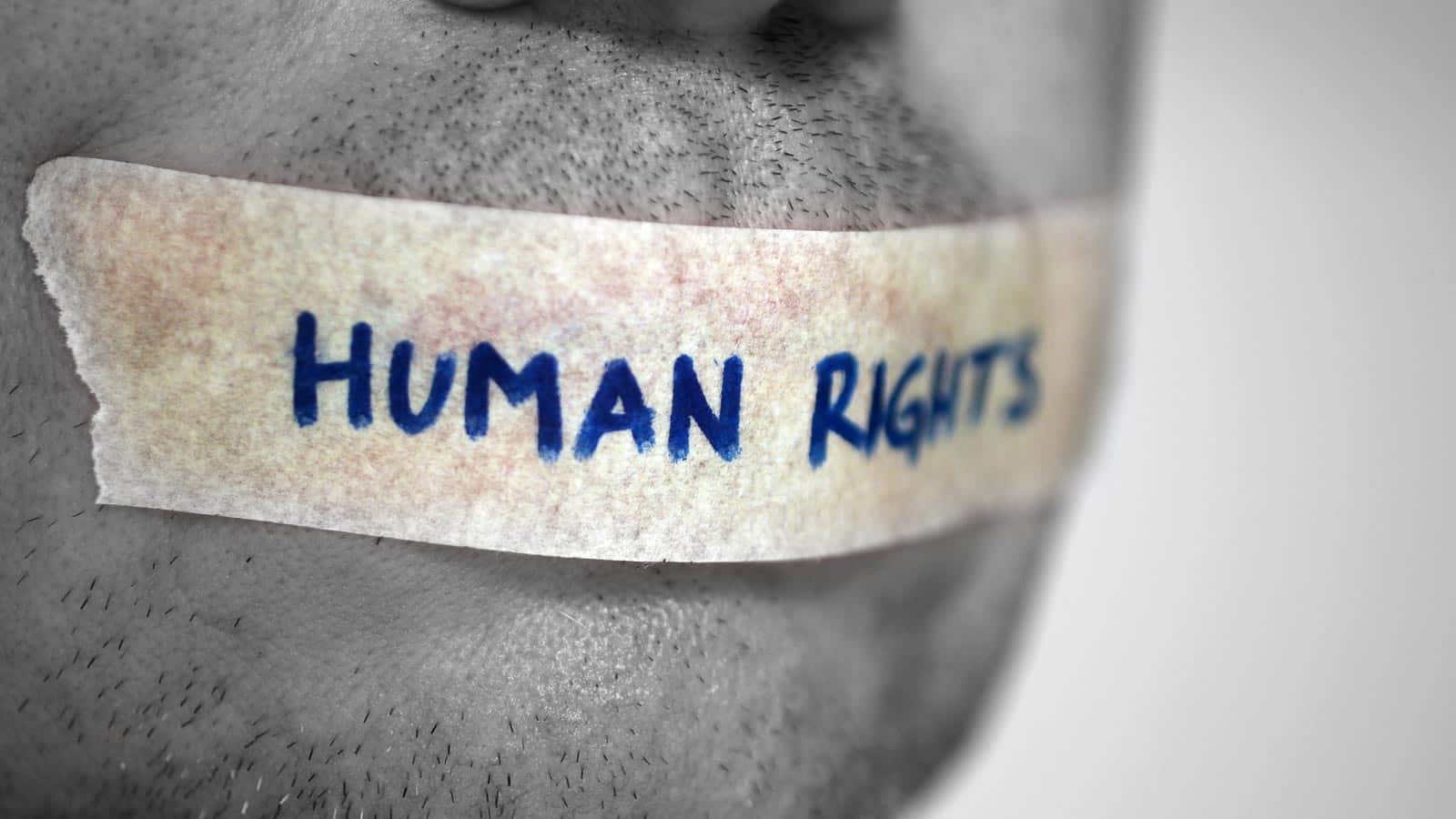 What Are Human Rights and Why They Matter More Than Ever in 2025 ...