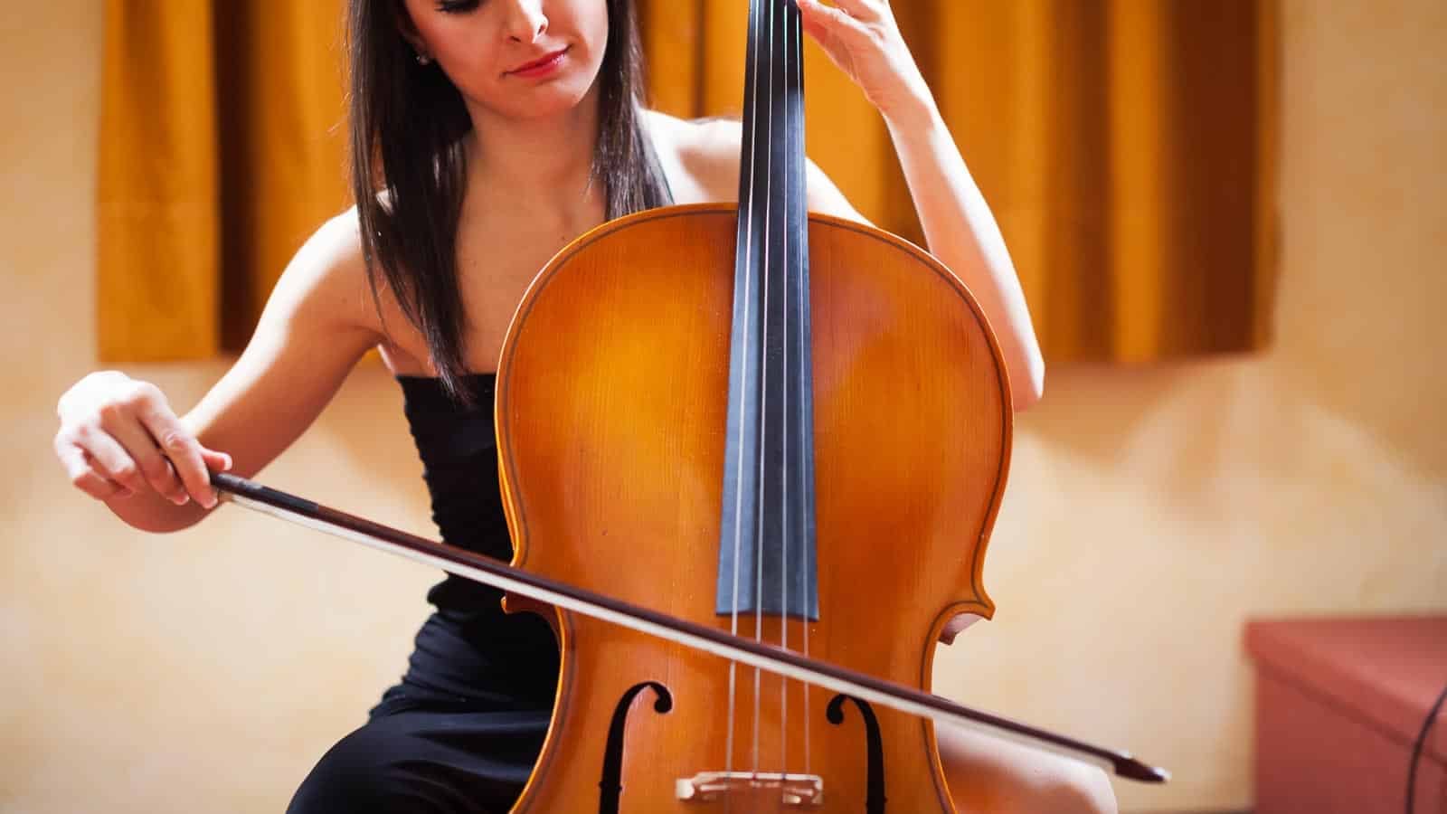 Why the cello feels like the sound of human emotion - FODMAP Everyday