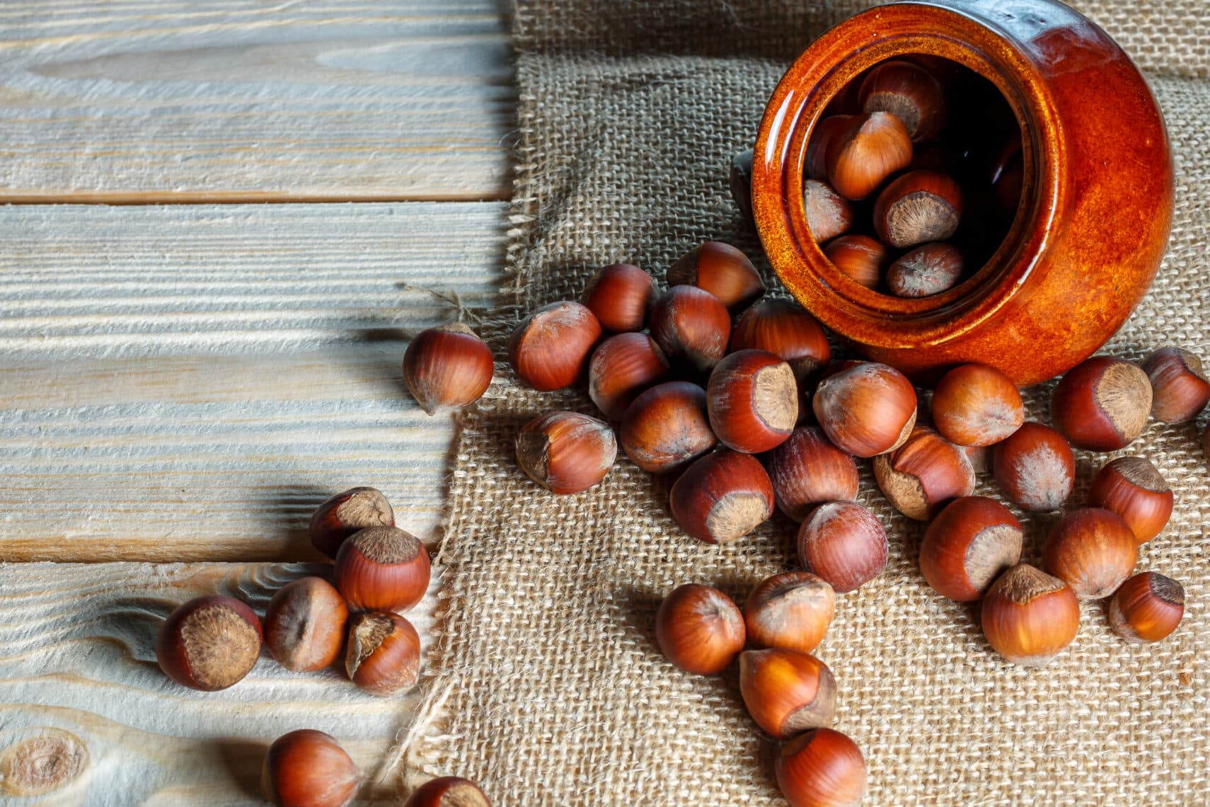 12 surprising health benefits of eating hazelnuts every day - FODMAP ...