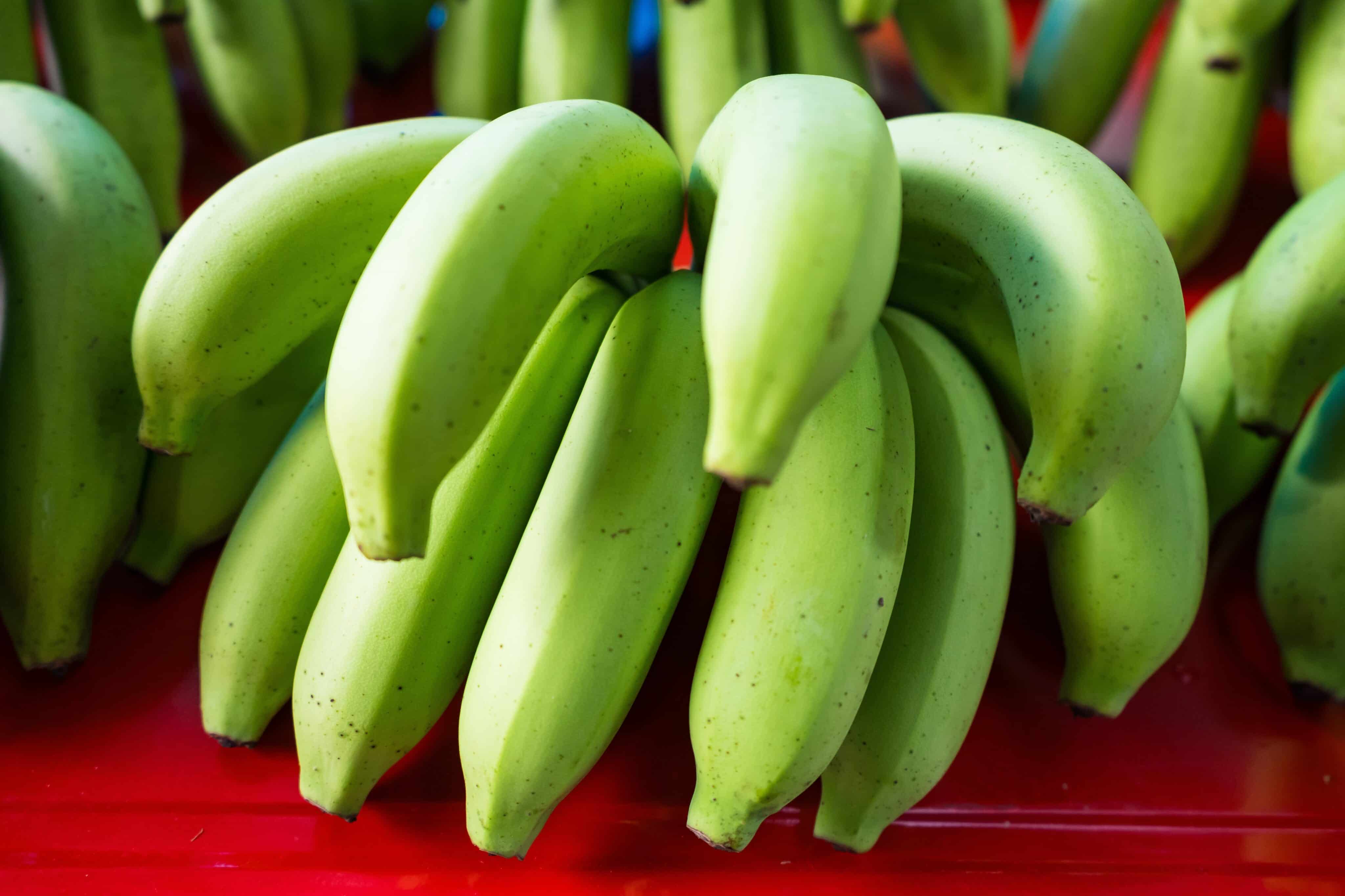 12 Easy Tips to Keep Ripe Bananas Fresh for a Month - FODMAP Everyday